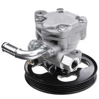 China Power Steering Pump with Pulley for Chevrolet Tracker Suzuki X-90 Pontiac 1.6L for sale