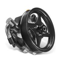 China Power Steering Pump with Pulley for Ford F-150 Lobo V8 4.6L 5.4L 2009 for sale