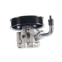 China Power Steering Pump with Pulley for Hyundai Sonata 2.4L 2006-2010 for sale