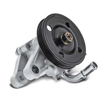 China Power Steering Pump with Pulley for Hyundai Tucson Kia Spectra Sportage 04-10 for sale