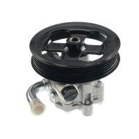 China Power Steering Pump with Pulley for Chevrolet Caprice 2011 Ponitac G8 2008-2009 for sale