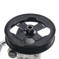 China Power Steering Pump with Pulley for Chevrolet Caprice 2011 Ponitac G8 2008-2009 for sale