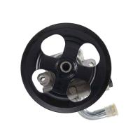 China Power Steering Pump with Pulley for Chevrolet Caprice 2011 Ponitac G8 2008-2009 for sale