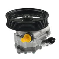 China Power Steering Pump with Pulley for Land Rover Range Rover 4.2L 4.4L for sale