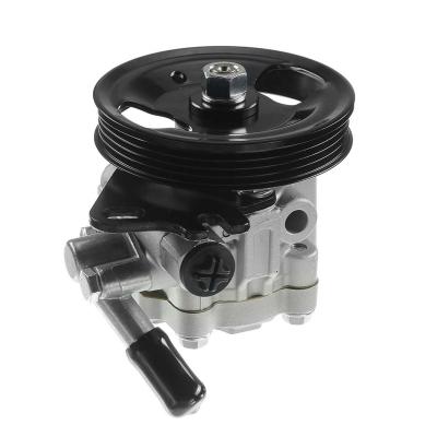 China Power Steering Pump with Pulley for Nissan Sentra Tsubame Tsuru NX L4 1.6L for sale