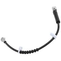 China Rear Center Brake Hydraulic Hose for Ford F-150 1996-2003 F-250 F-150 Heritage CC for sale