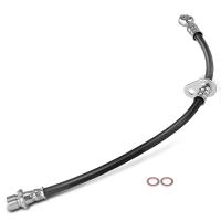 China Front Passenger Brake Hydraulic Hose for Honda Accord 1998-2002 Acura CL TL for sale