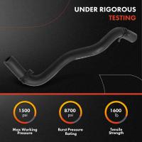 China Power Steering Reservoir Line Hose Assembly for Kia Borrego 2009-2011 V6 3.8L for sale