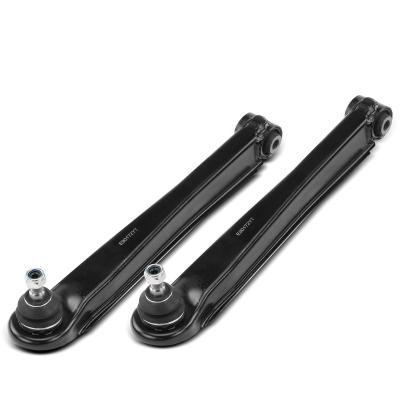 China 2x Control Arm with Ball Joint for Hyundai Sonata 1999-2005 Kia Optima 2001-2006 for sale