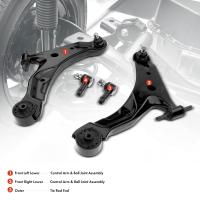 China 4x Front Control Arm with Ball Joint & Tie Rod End for Hyundai Santa Fe 2001-2006 for sale