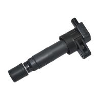 China OEM Auto spare car Parts Ignition coils 27301-3C000 cars ignite-coiled for Hyundai Yuxiang Velax 3.8L for sale