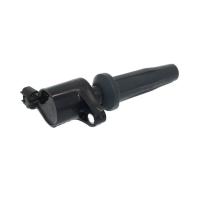China High Quality Best Price Auto Car Parts Electric Ignition Coil 5047437 for Ford for sale