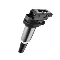 China Auto Parts Ignition Coil Compatible With BMW M54 N20 N52 N54 N55 N62 S54 S62 2002 12137594596 for sale