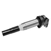 China Auto Parts Ignition Coil Compatible With BMW M54 N20 N52 N54 N55 N62 S54 S62 2002 12137594596 for sale