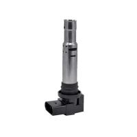China OE 036-905-715F Ignition Coil 036905715F For 2006-2015 Polo Seat Golf 1.4 16V Car VW OEM ENGINE Packing Origin Type Qual for sale