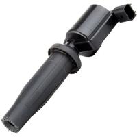 China High Quality Ignition Coil 19145831 4M5Z12029B 4M5Z12029BA 4M5Z12029BB For Ford for sale