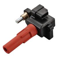 China 22433-AA441 Ignition Coil For Subaru Outback 3.0 Legacy B9 2003-2009 for sale
