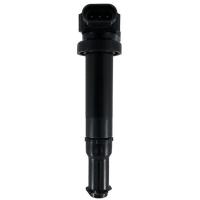 China Automobile Ignition Coil Engine Plugs 273013E100 / 27301-3E100 Use For Hyundai Santa for sale