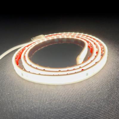 China AC220V LED Ribbon Lights Flexible LED Tape Light for Decorative Architectural for sale