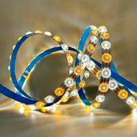 China CCT Lens Flexible LED Strip DC24V 10W/m for Curved Light Box Backlighting for sale