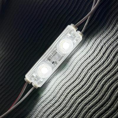 China Ultra Bright Dimmable LED Module 2 LEDs 170 Degree Wide Angle For Signage Light Box for sale