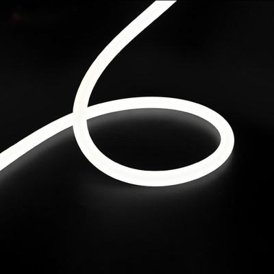 China 360 Degrees 25mm Diameter Neon LED Rope Light Round Flex Strip IP67 Outdoor for sale