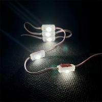 China DC12V Mini LED Module 0.3W 50pcs/Chain For Small Sign Channel Letters for sale