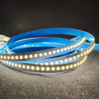 China Smart LED Lighting Strip 180 LEDs/m High Density LED Strip for Modern Lighting for sale