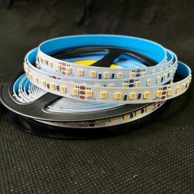 China DC24V CCT Flexible LED Strip  2IN1 3528 120LED/M High Lumen Decor Lighting for sale