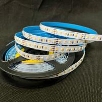 China DC24V CCT Flexible LED Strip  2IN1 3528 120LED/M High Lumen Decor Lighting for sale