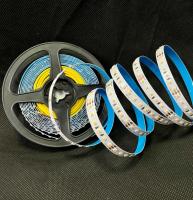 China Warm White Cool White 3528 SMD LED Strip Tunable Color LED Tape for Retail Display for sale