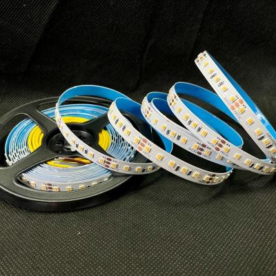 China Dynamic CCT 3528 LED Tape Light Switchable White Flexible LED Strip 12V 24V for sale