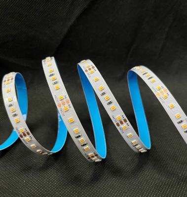 China Warm White Cool White 3528 SMD LED Strip Tunable Color LED Tape for Retail Display for sale
