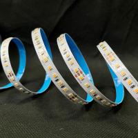 China Tunable White LED Strip Light Dual CCT LED Tape for Adjustable Color Control for sale