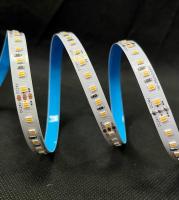 China Dynamic CCT 3528 LED Tape Light Switchable White Flexible LED Strip 12V 24V for sale