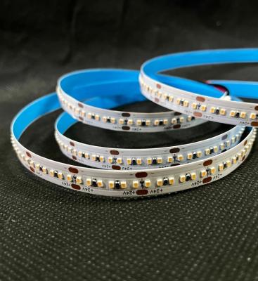 China DC12V Flexible LED Strip 2216 300LED/M Indoor Ambient Lighting for sale