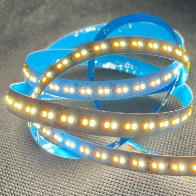 China 24V 2216 LED Strip Light Dual White CCT Tunable White for Commercial Lighting for sale