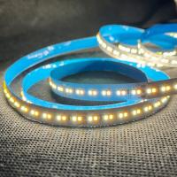 China 24V 2216 LED Strip Light Dual White CCT Tunable White for Commercial Lighting for sale