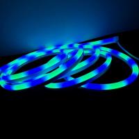 China RGBIC Neon Flex Light 10x23mm Silicone Tube with Dynamic Color Effects for sale