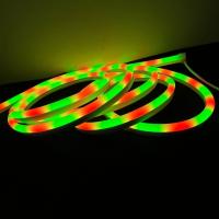 China RGBIC Neon Flex Light 10x23mm Silicone Tube with Dynamic Color Effects for sale
