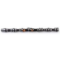 China Excavator Parts Forged Steel Engine Camshaft With Gear Fit for 6D31 Engine ME081645 for sale