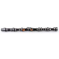 China Excavator Parts Forged Steel Engine Camshaft With Gear Fit for 6D31 Engine ME081645 for sale