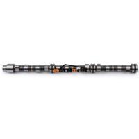 China Other Construction Machinery Parts 6D108 Diesel Engine Camshaft for KOMATSU 6221-41-1100 for sale