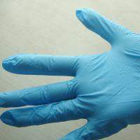 China Powder Free Disposable Protective Gloves Industrial For Householding Vinyl Waterproof for sale