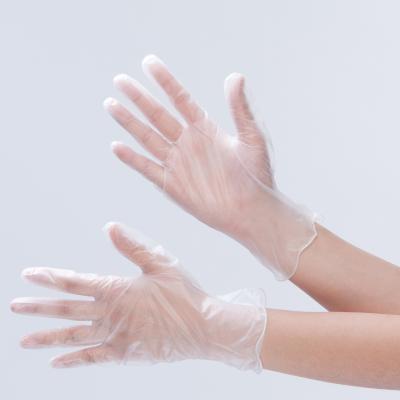 China Dental Disposable PVC Vinyl Glove Clear Powder Free ASTM D6319 for sale