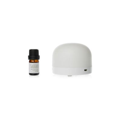 China 5V Portable Fragrance Diffuser for sale