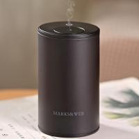 China Battery Operated Waterless Essential Oil Nebulizer Diffuser for sale