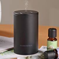 China Car Use Waterless 10ml Essential Oil Aromatherapy Nebulizer With Timer for sale