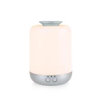 China USB Plug In Car Essential Oil Diffuser Mini Portable Waterless Aromatherapy for sale