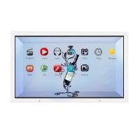 China 49 inch Trade Shows & Events Transparent LCD Display 43in transparent screen display manufacturer for sale